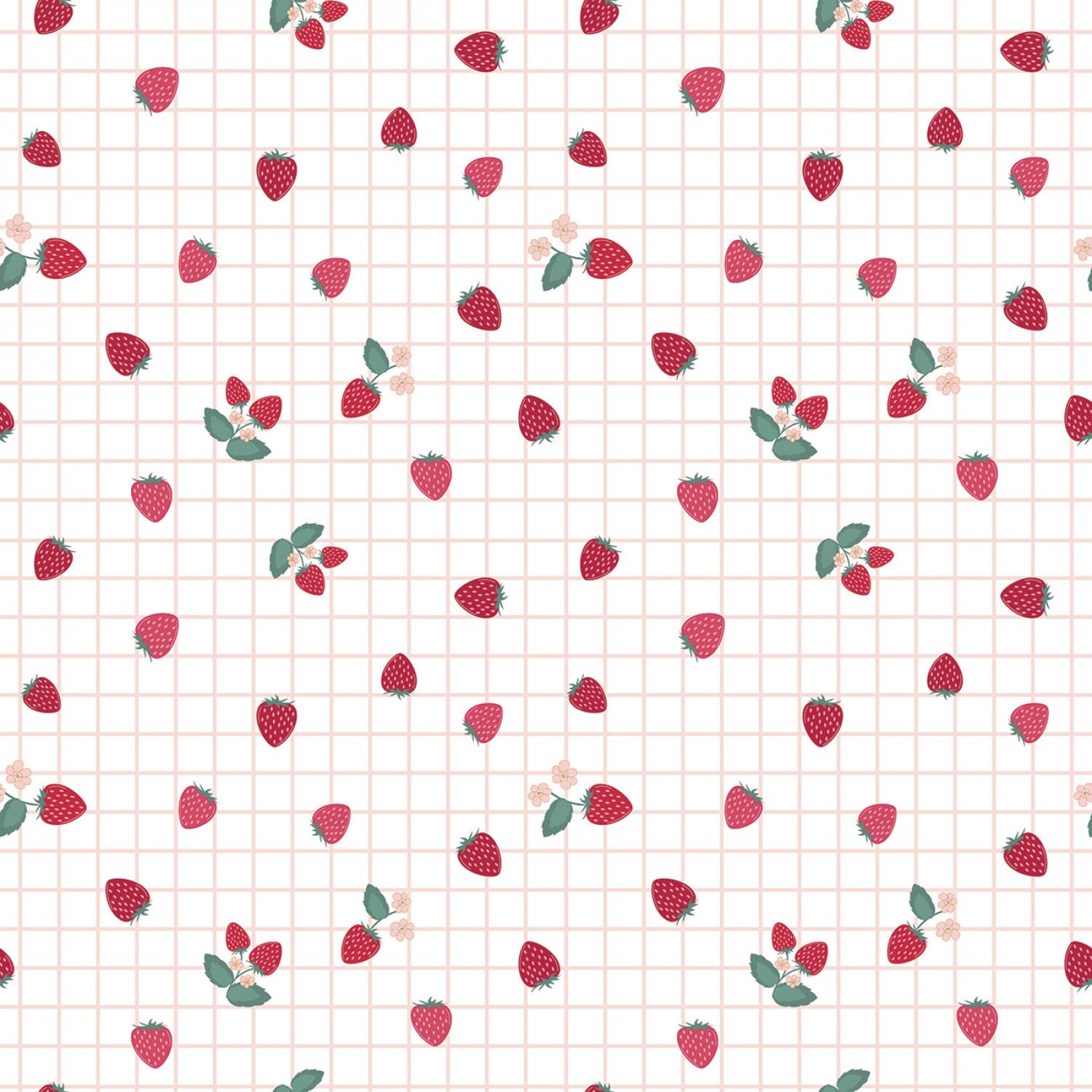 Berry Market by Riley Blake GINGHAM BERRIES/WHITE – Arizona Quilts