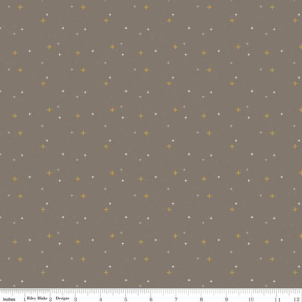 Sparkler by Riley Blake PEBBLE SPARKLE – Arizona Quilts